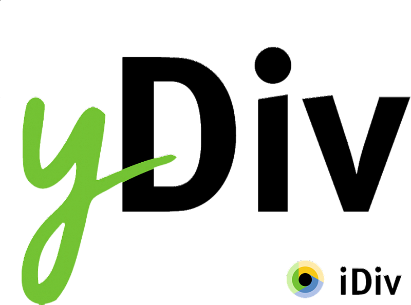 Strukturierte Promotionsprogramme